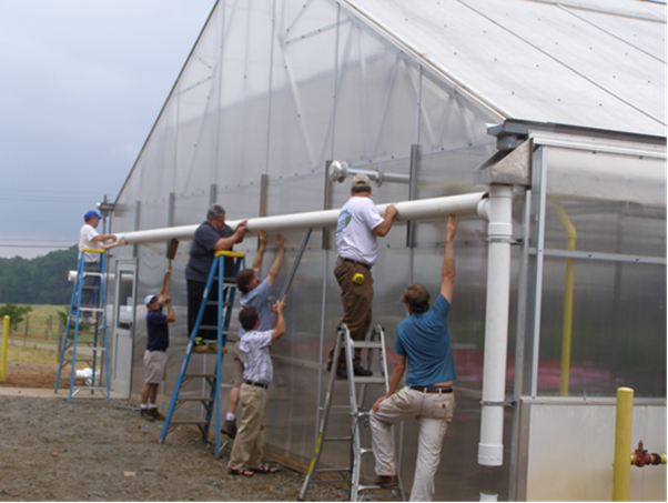 Greenhouses and Rainwater Harvesting: Cultivating Sustainability Year ...
